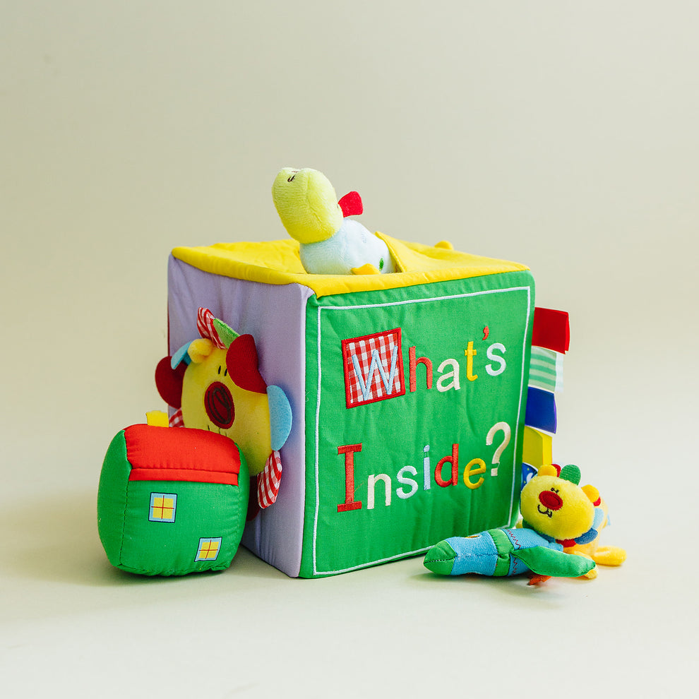 Baby Surprise Box with 8 Colorful Sensory Baby Toys – Genius Babies Toys