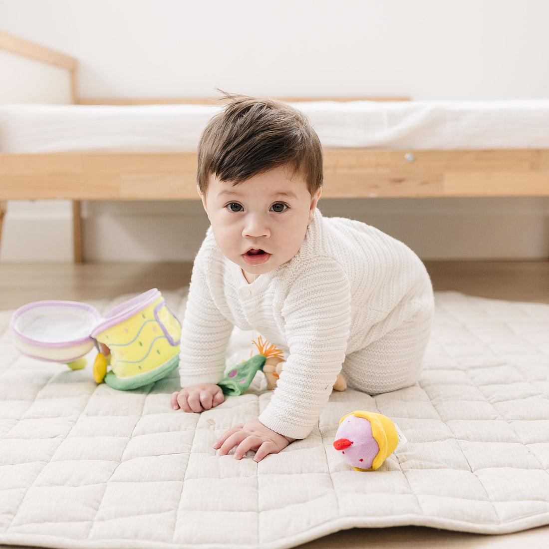 Genius Babies: High Quality, Developmental-Based Toys for Babies